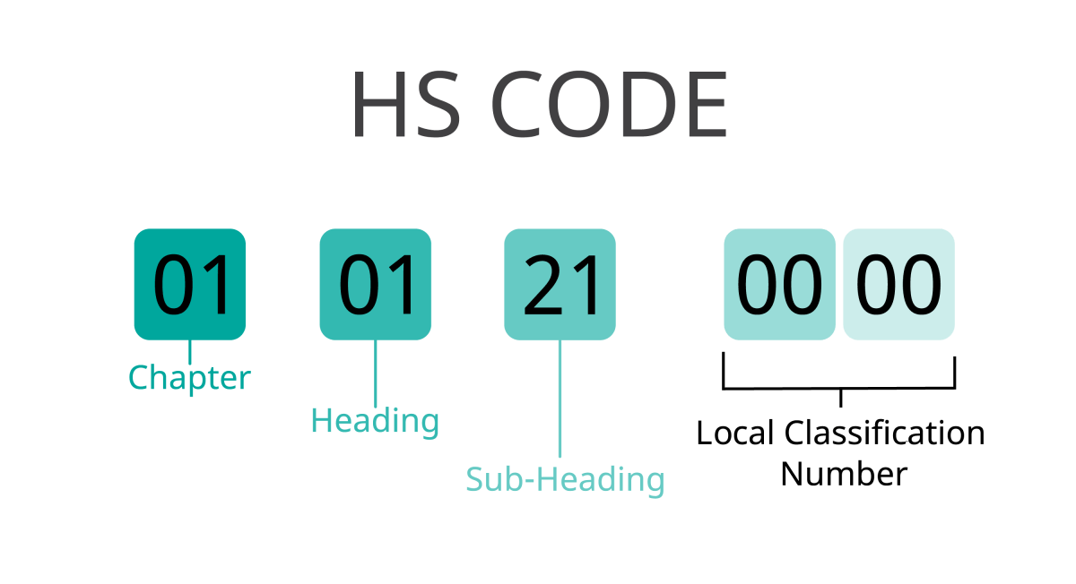 Canadian Customs Brokerage: Everything You Need to Know (2022) - ENERGY ...